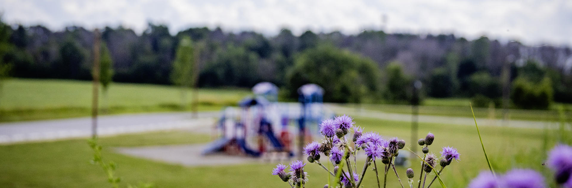 Home Page | Village of Harrison Wisconsin